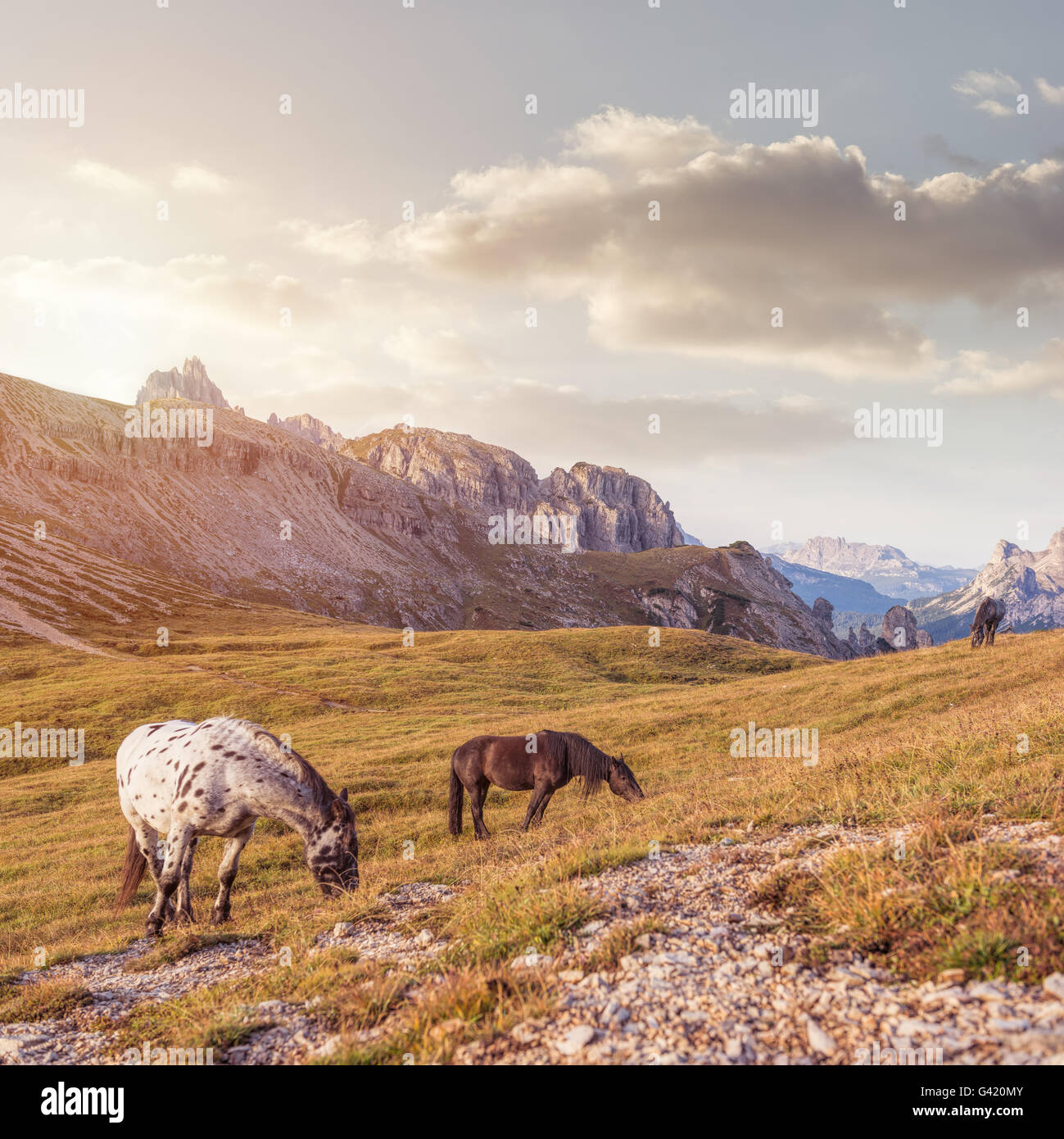 Dolomites, landscape, magnificent mountains, fabulous, rock, Dolomites ...