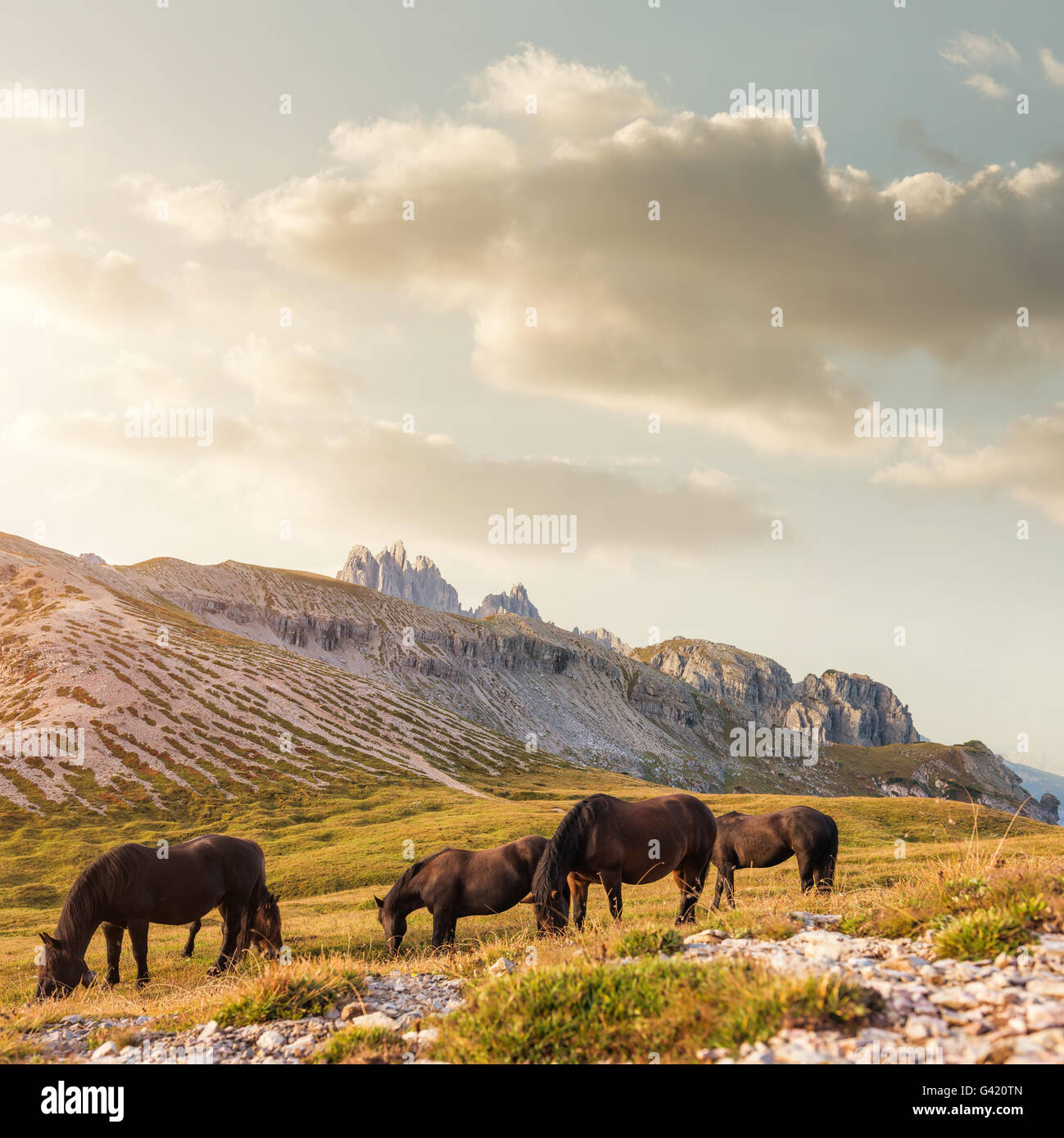 Dolomites, landscape, magnificent mountains, fabulous, rock, Dolomites ...