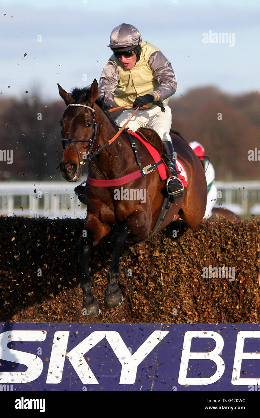 Jockey Warren Marston on Wolf Moon during the Simpson Millar Novices ...