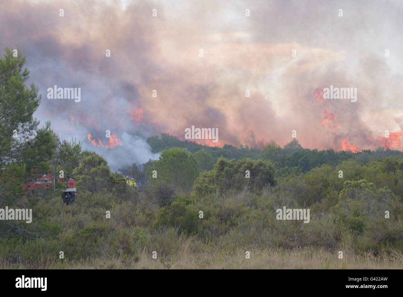 Carcaixent, Valencia, Spain. 17th June, 2016. Fireman in forest fire in ...