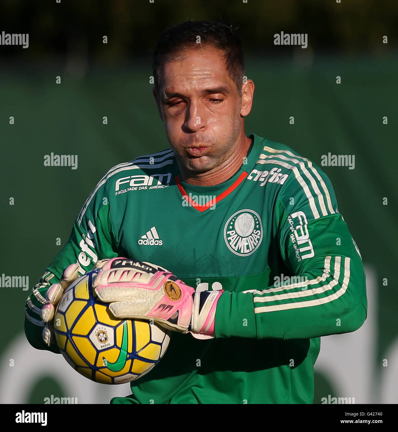 Sao Paulo, Brazil. 17th June, 2016. TRAINING OF TREES - The goalkeeper ...