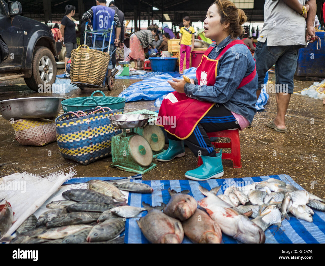 Pakse, Champasak, Laos. 16th June, 2016. A woman sells fish in Dao ...