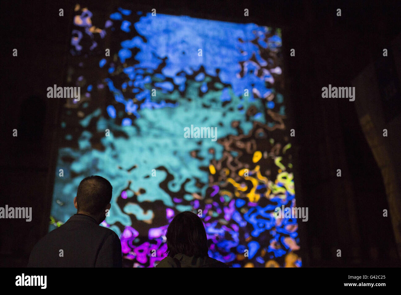 Singular shells hi-res stock photography and images - Alamy