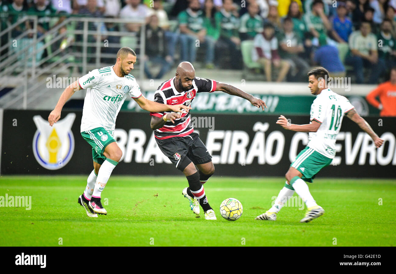 SAO PAULO, Brazil - 06/18/2016: PALM X SANTA CRUZ - players in the ...