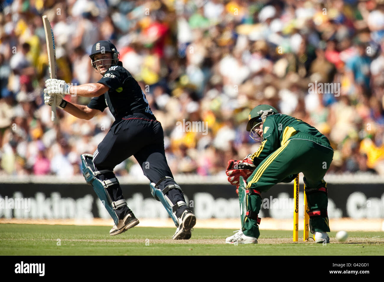 During the one day international at the adelaide oval hi-res stock ...