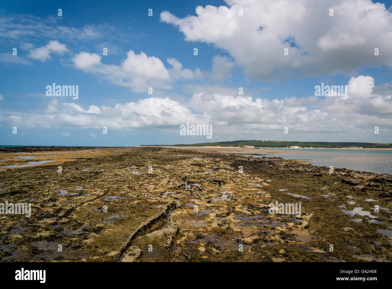 Rock pools, Gunga Beach, Maceio, Alagoas, Brazil Stock Photo - Alamy