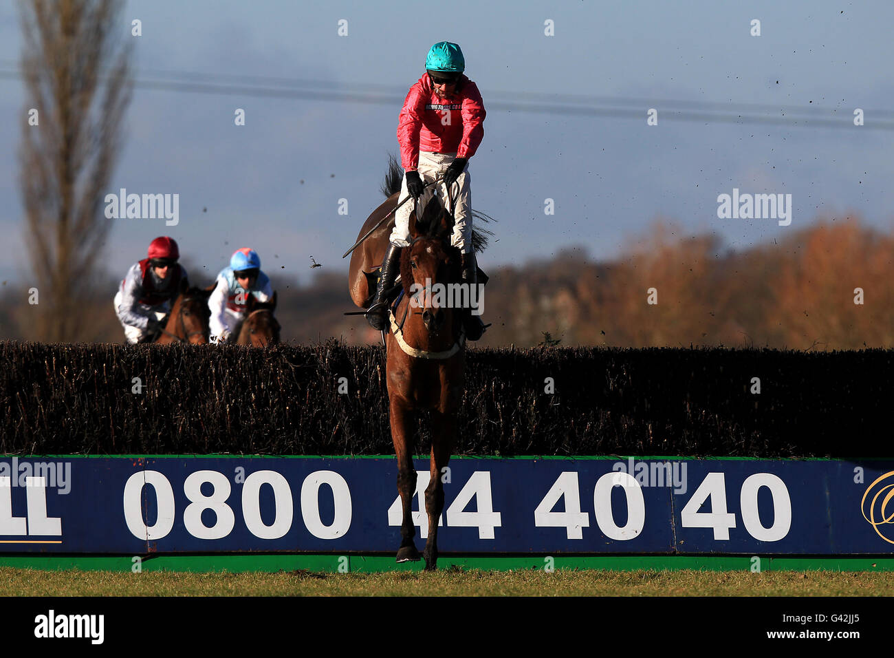 Jockey warren marston on king jack southwell racecourse hi-res stock ...