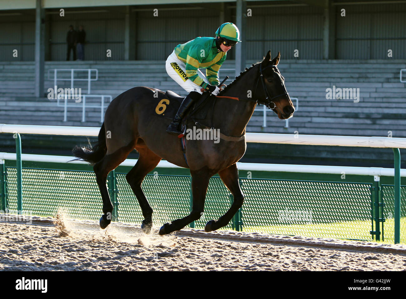 Jockey Ryan Mania on Troodos Jet goes to post for the Golf Club Junior ...