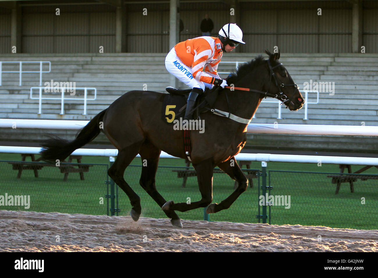 Jockey graham lee at southwell racecourse hi-res stock photography and ...