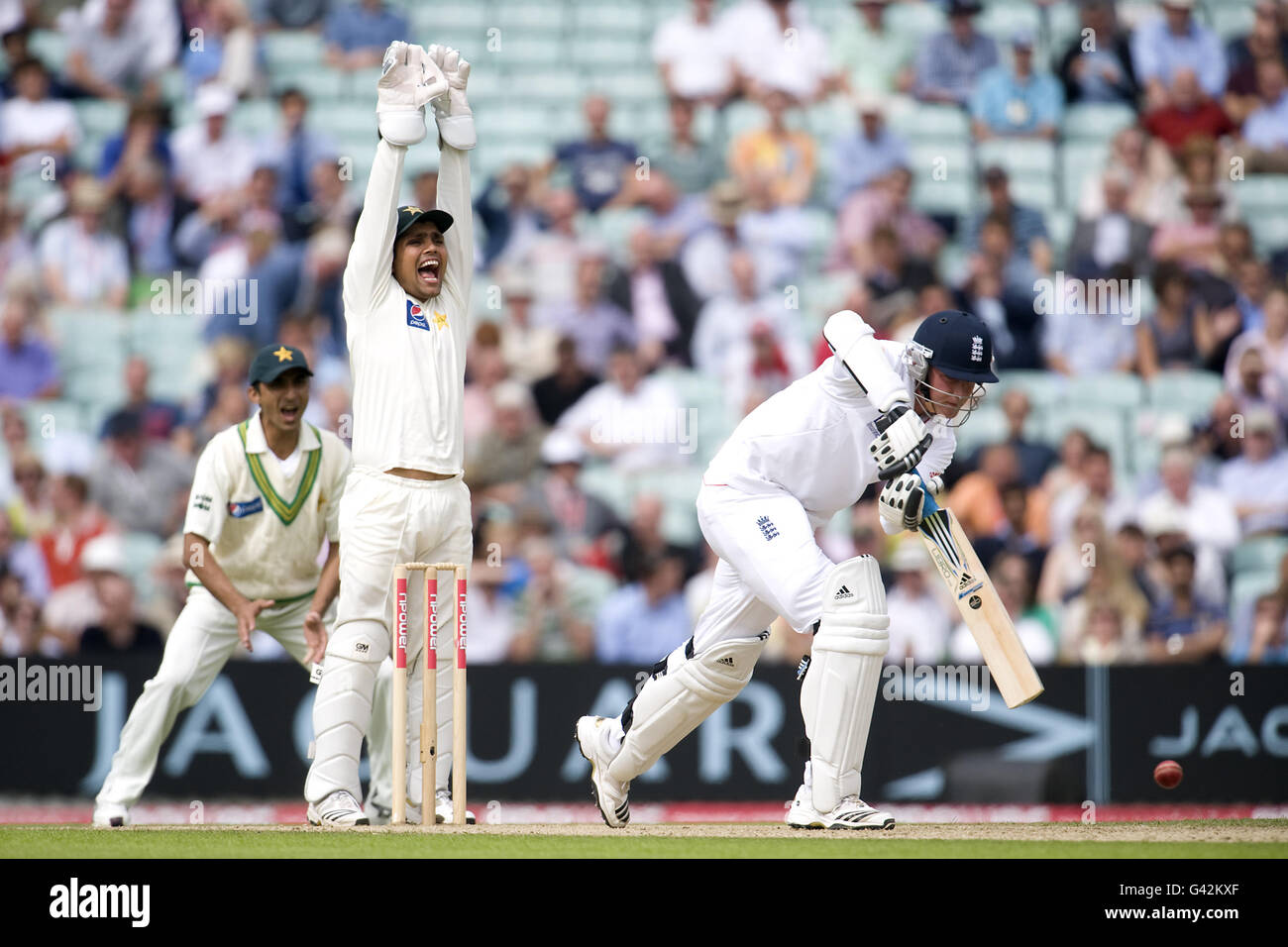 Pakistan wicket-keeper (centre) appeals to the umpire Stock Photo - Alamy