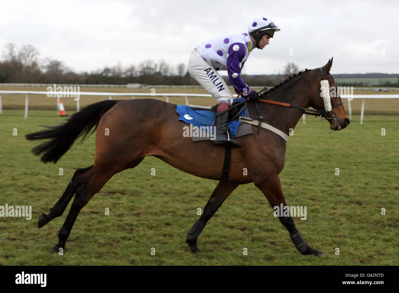 Horse Racing - Huntingdon Racecourse Stock Photo - Alamy