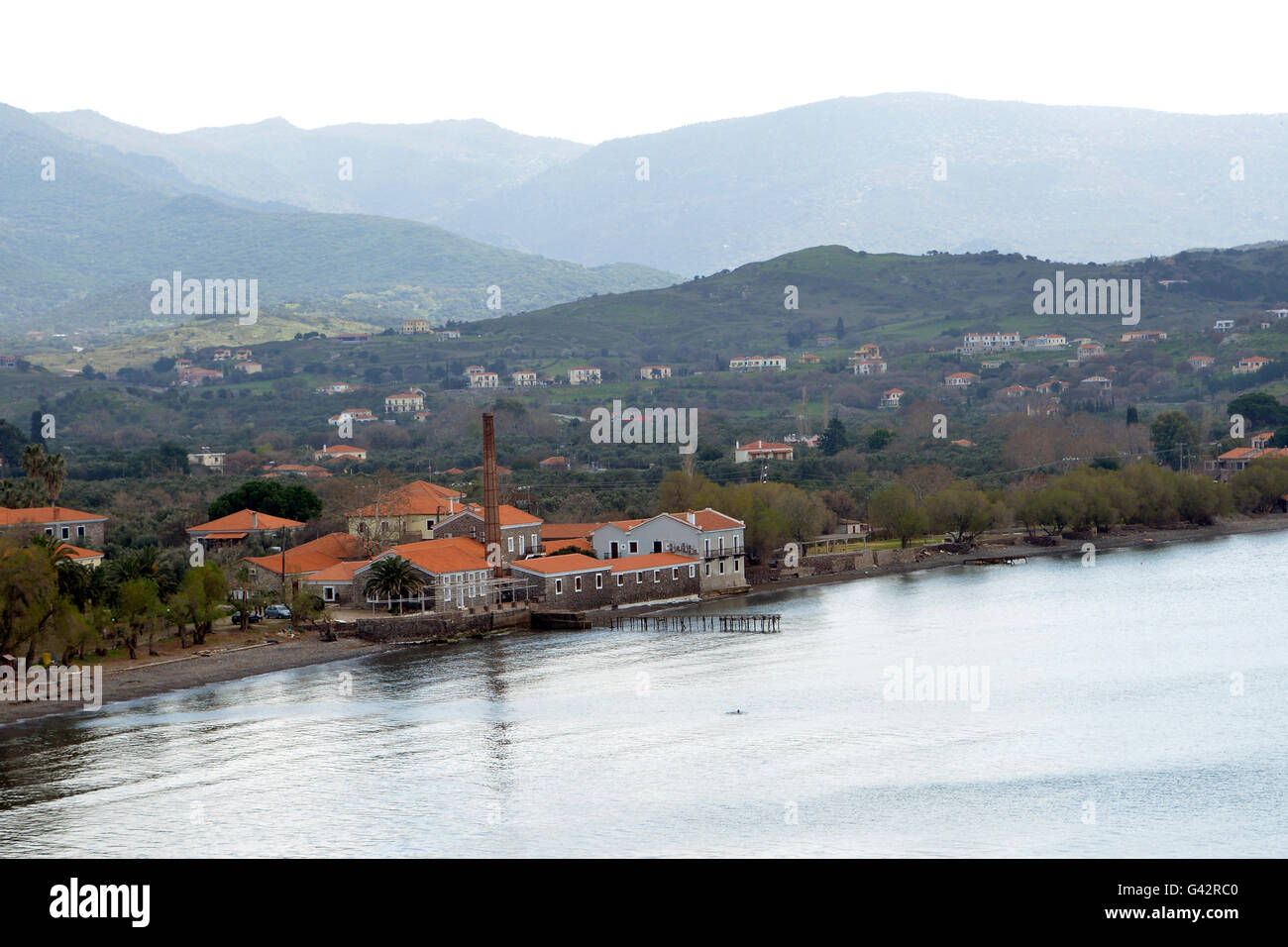 ancient old olive press at Molivos Lesvos Stock Photo - Alamy