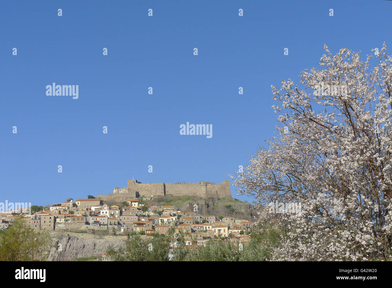 Molivos Castle Lesvos Greece High Resolution Stock Photography and ...
