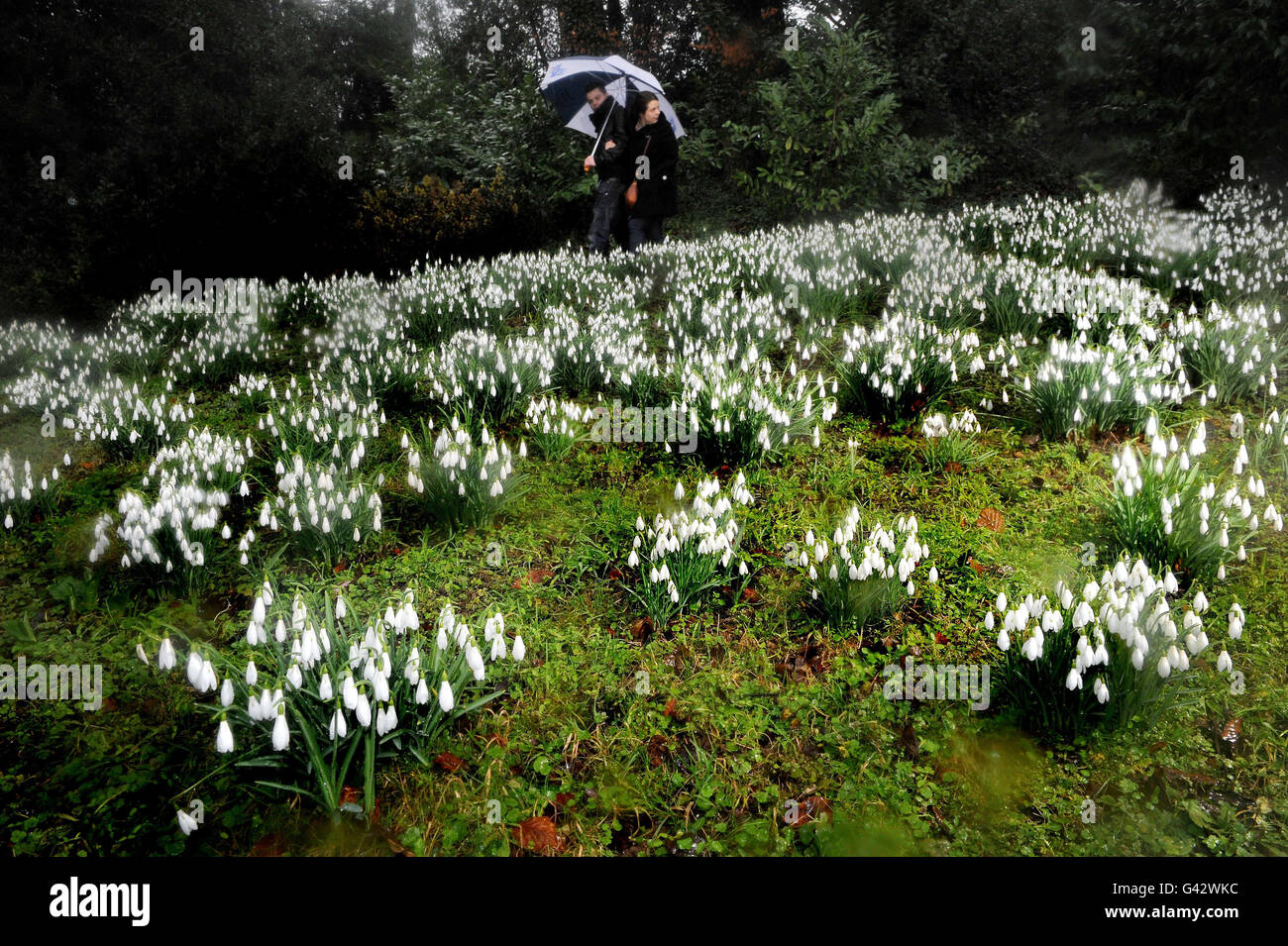 Naturalistic plantings hi-res stock photography and images - Alamy