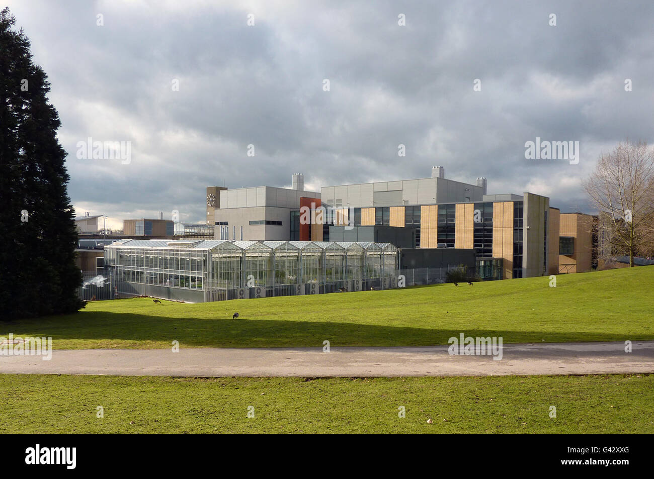 Part of the main campus at the university of york hi-res stock ...