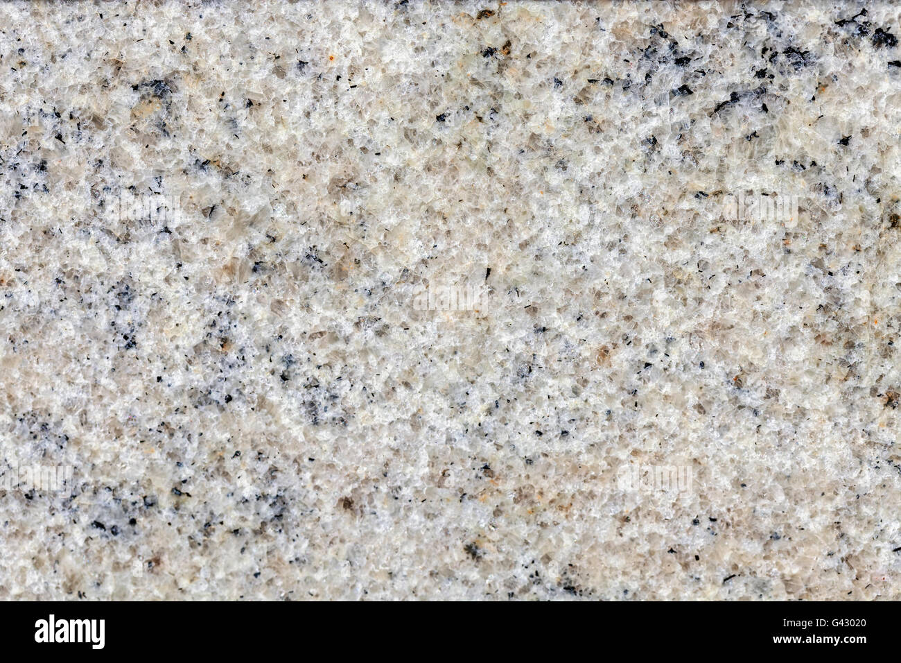 Closeup view on sample of marble for interior Stock Photo - Alamy