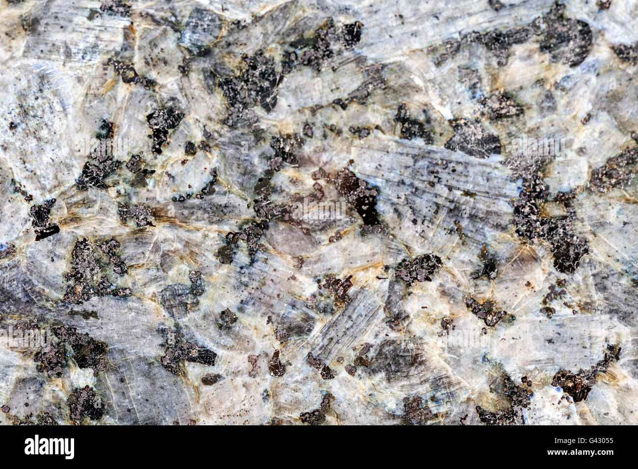 Closeup view on sample of marble for interior Stock Photo - Alamy