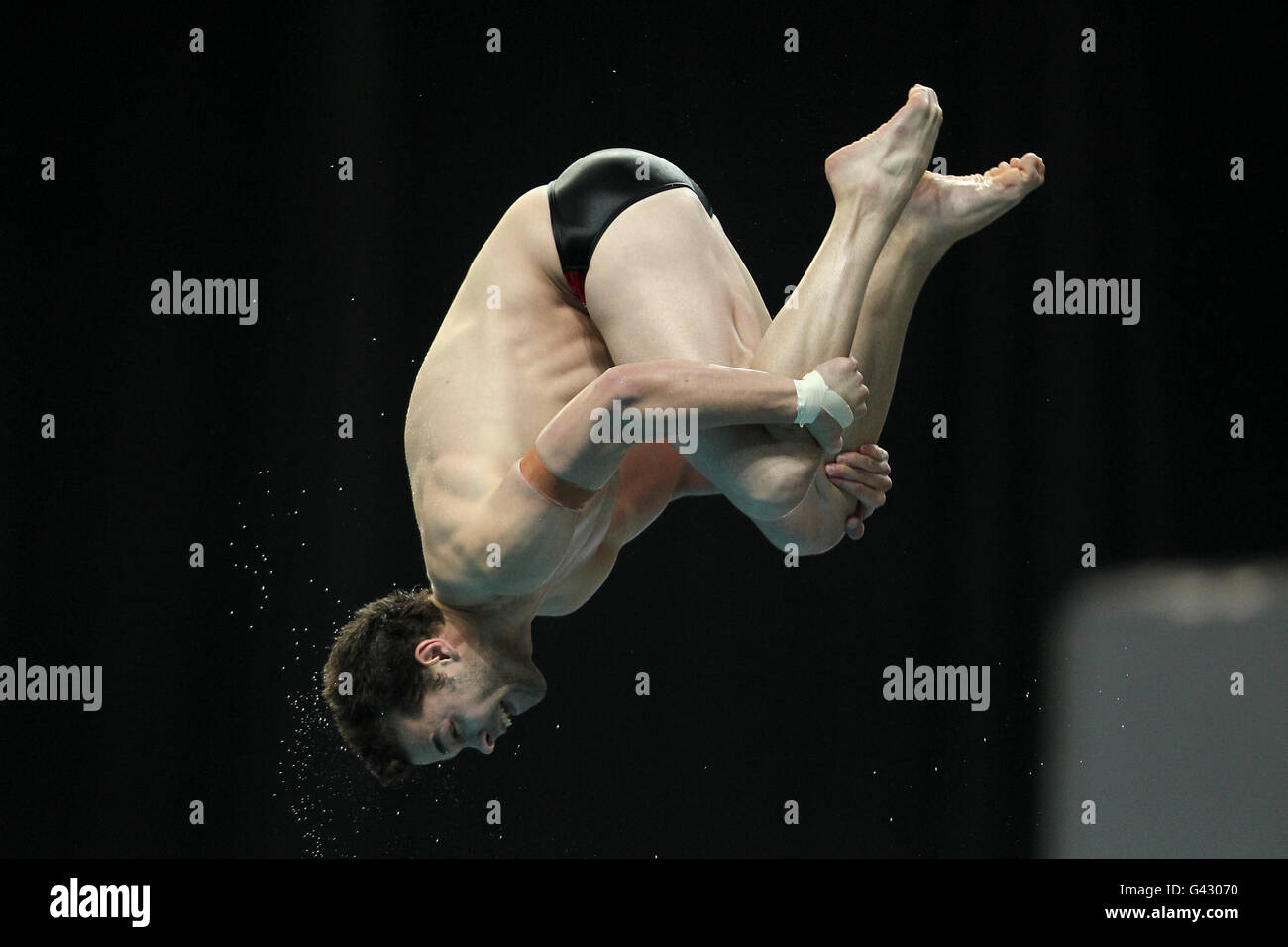 Canada's Eric Sehn in action in the 10m Platform Diving on day ten of ...