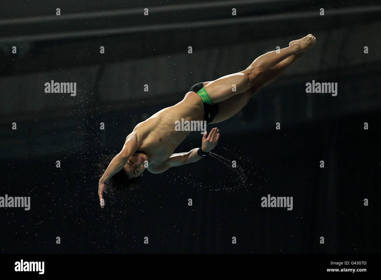 Malaysia's Bryan Lomas in action in the 10m Platform Diving on day ten ...