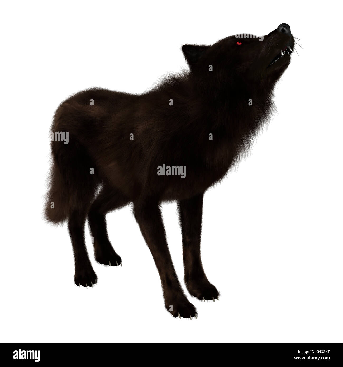 3D rendering of a black wolf isolated on white background Stock Photo ...