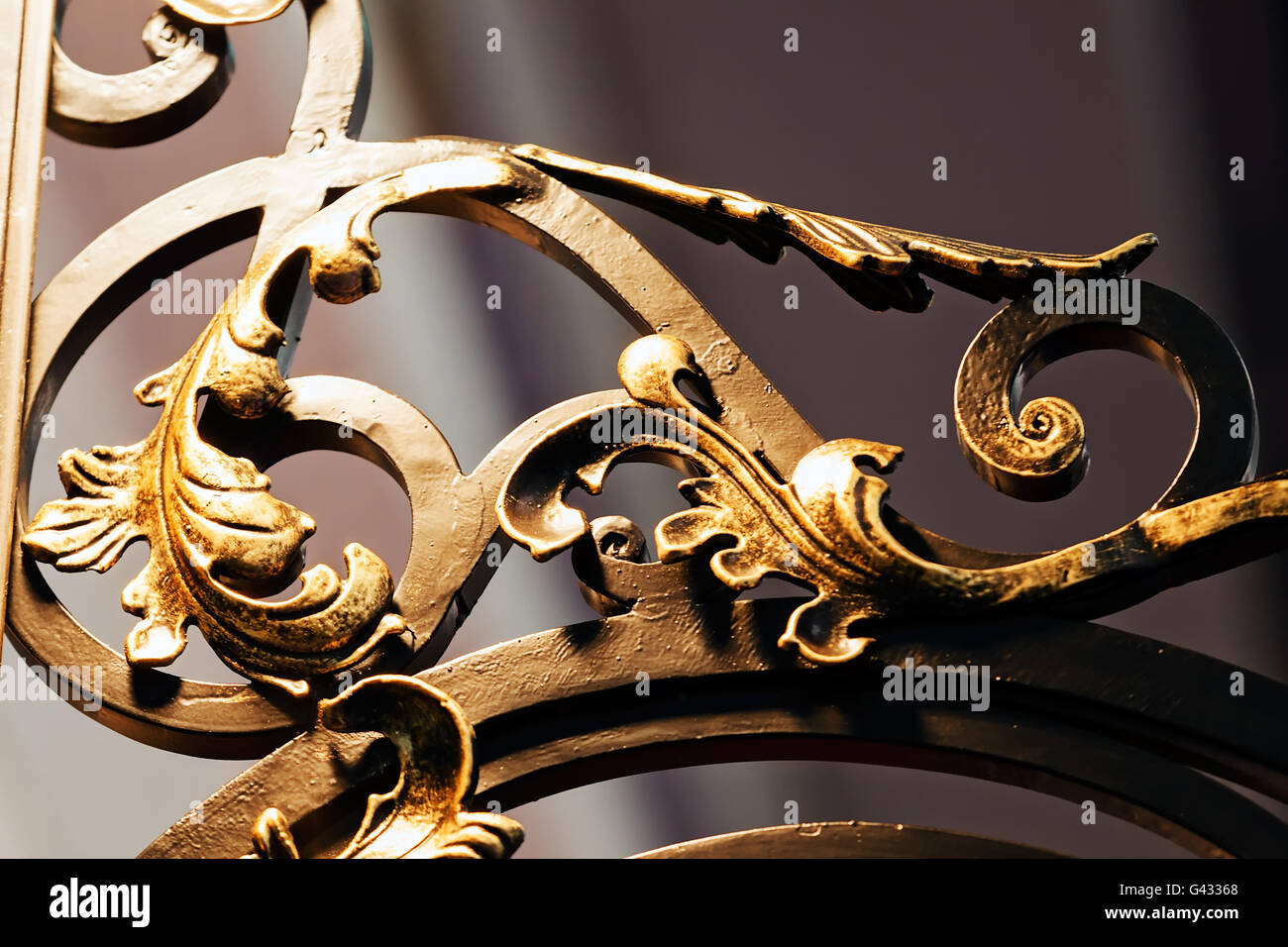 Details, structure and ornaments of wrought iron fence with gate Stock ...