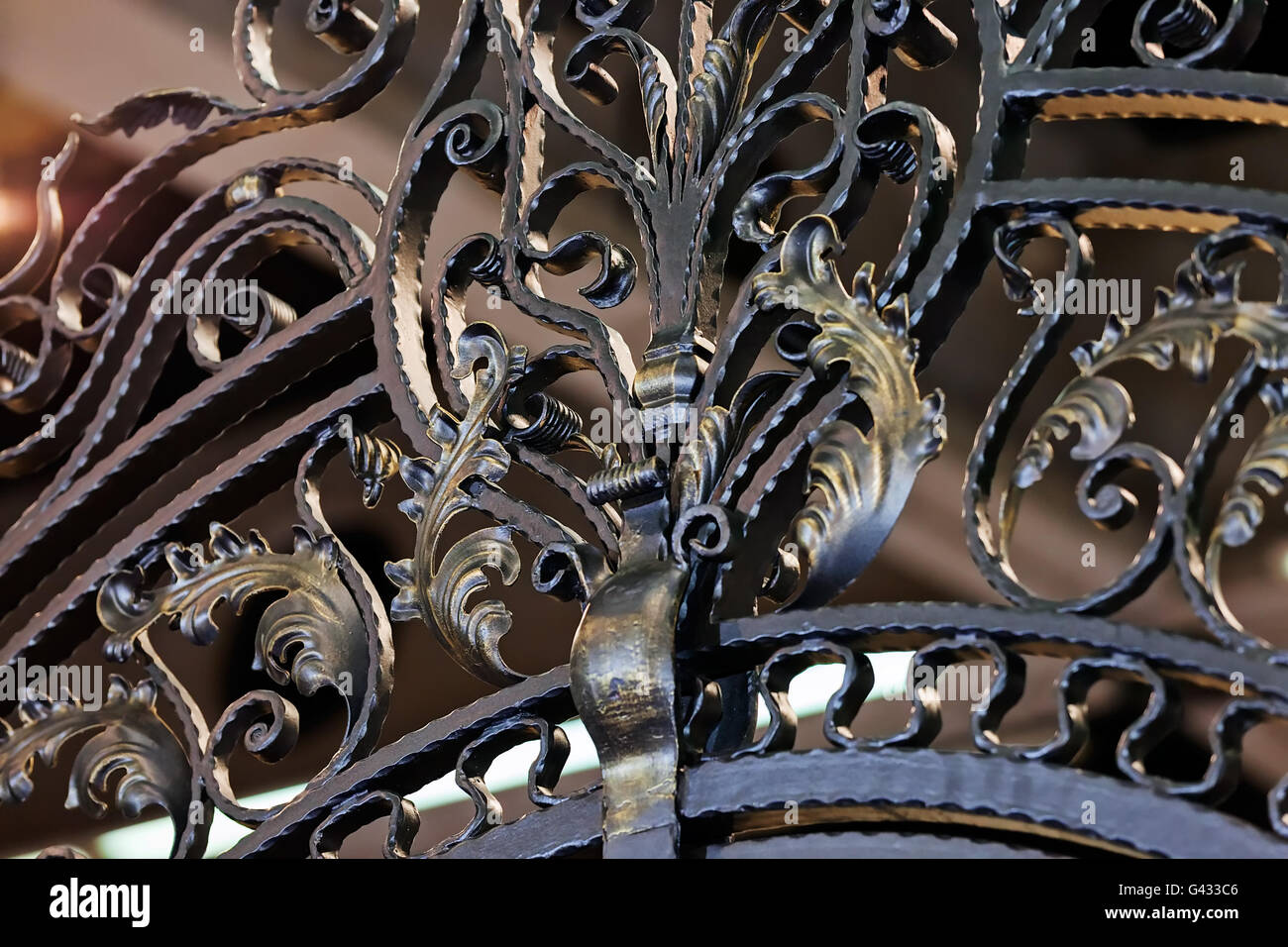 Details, structure and ornaments of wrought iron fence with gate Stock ...