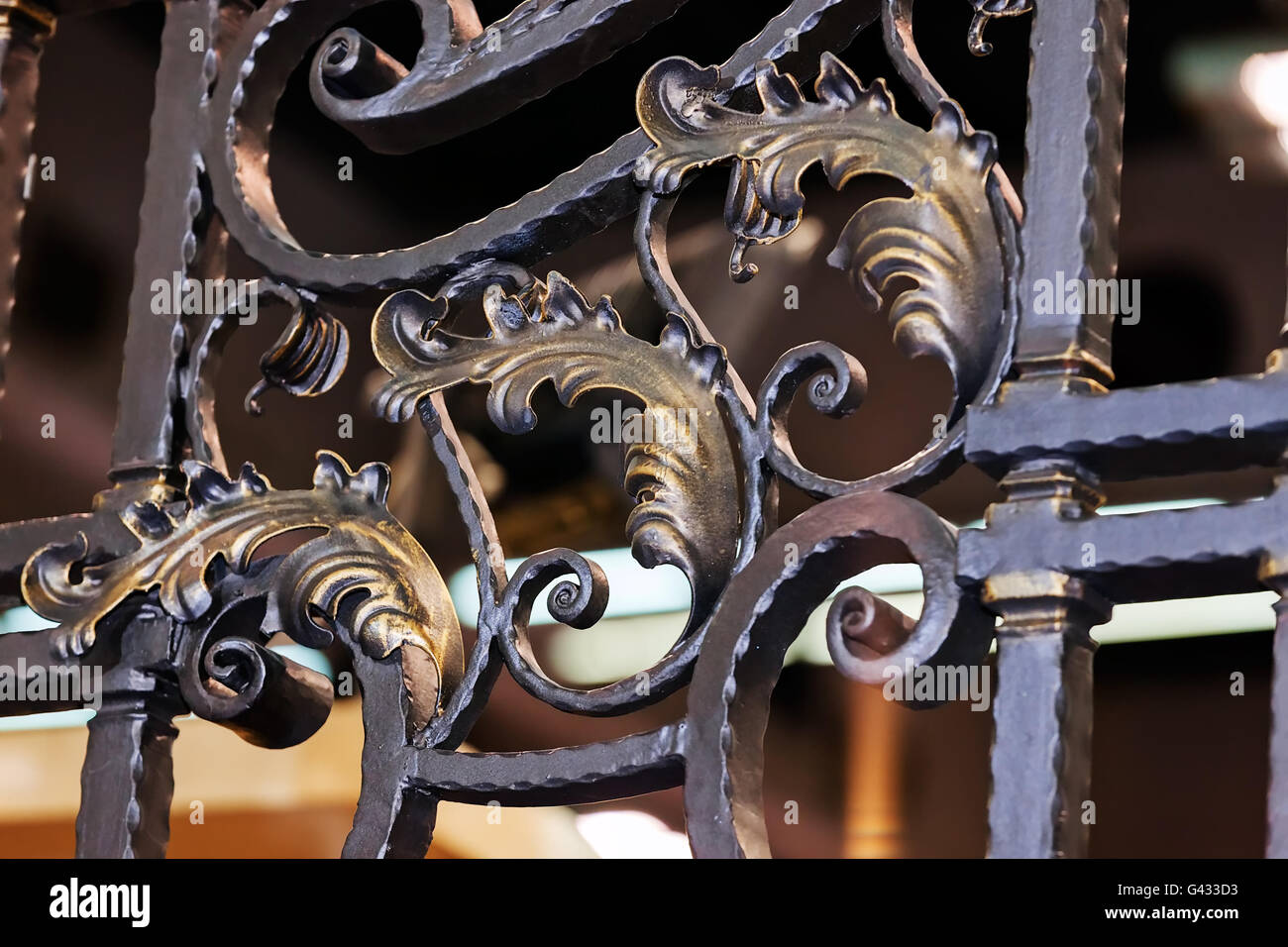 Details, structure and ornaments of wrought iron fence with gate Stock ...
