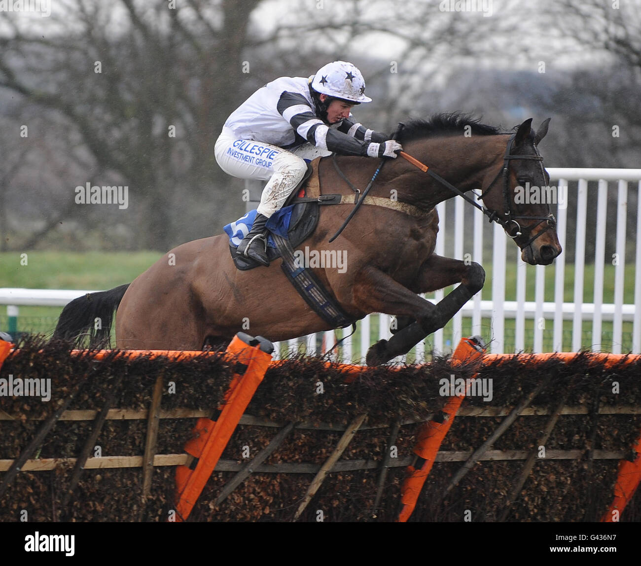 Premier De Marais ridden by Jamie Moore, winners of the Caffreys and ...