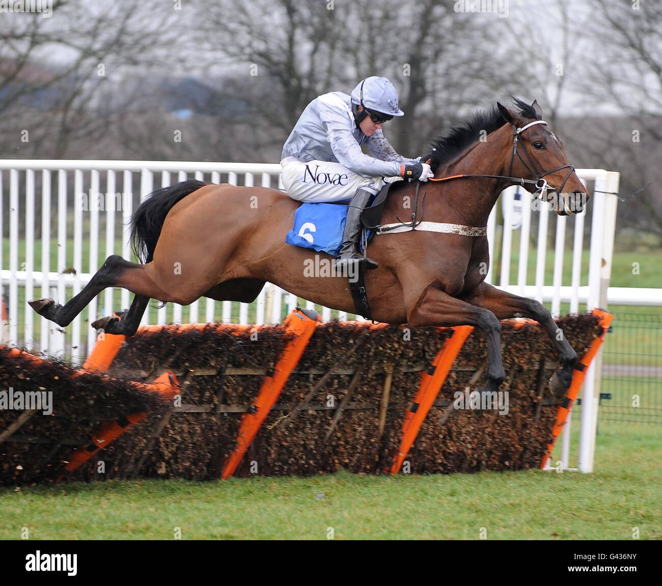 Butchers race hi-res stock photography and images - Alamy