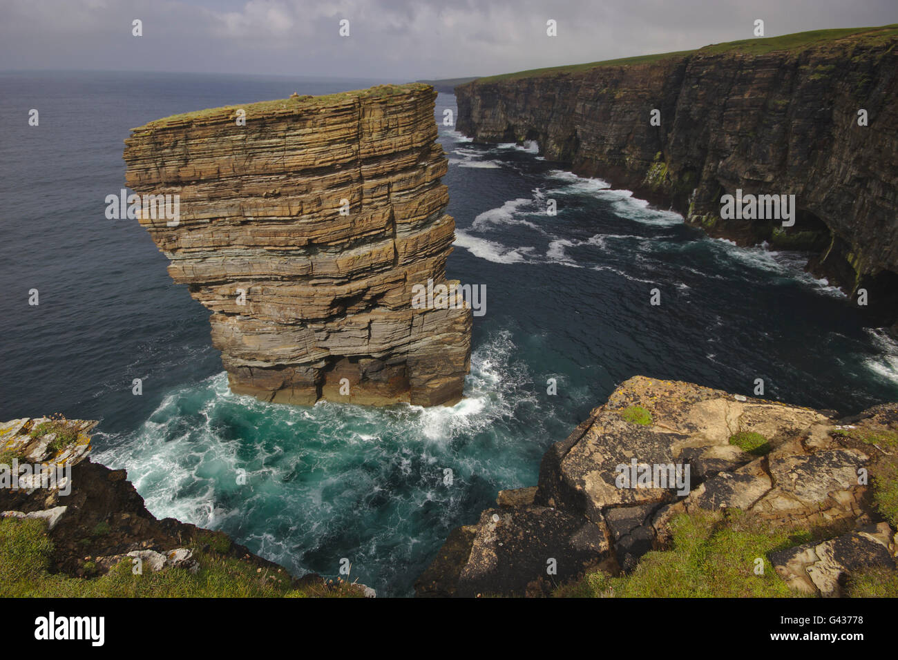 North Gaulton Castle, sea stack, Orkney Mainland, UK Stock Photo - Alamy