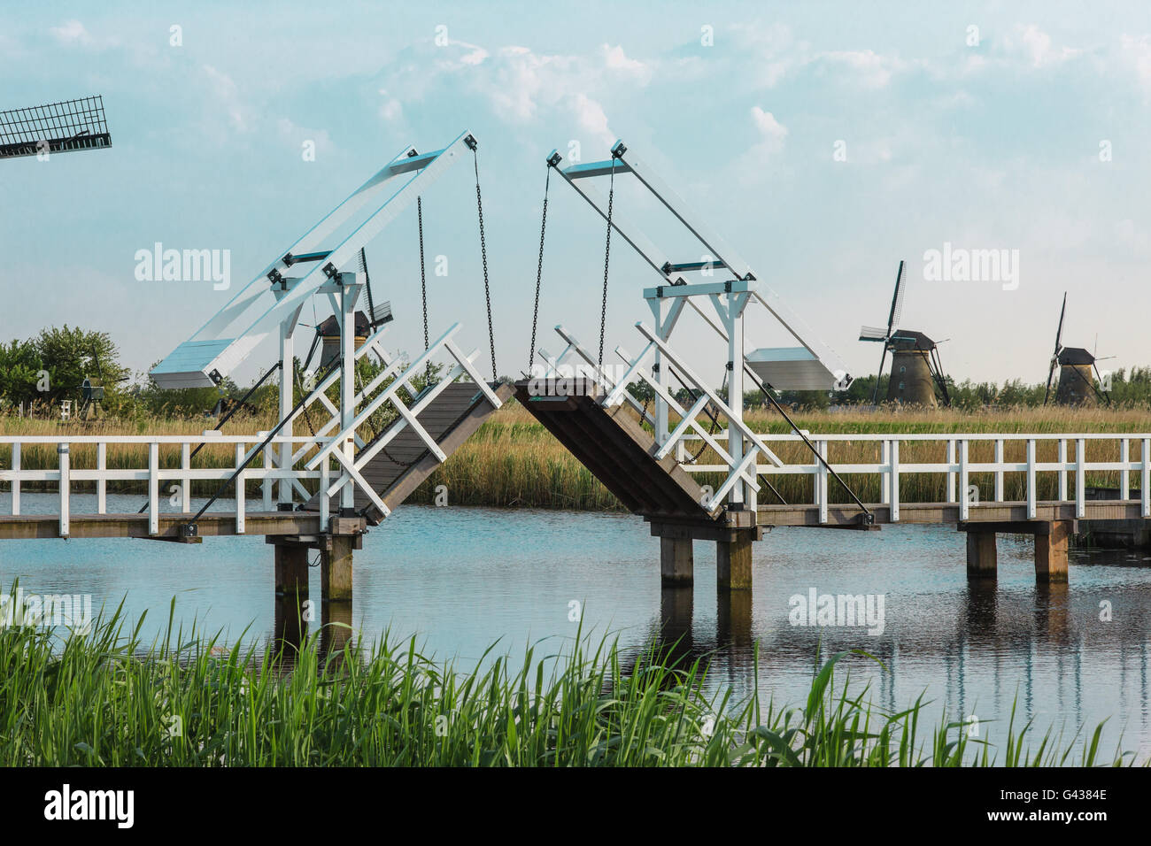 beautiful traditional dutch windmills near the water channels with ...