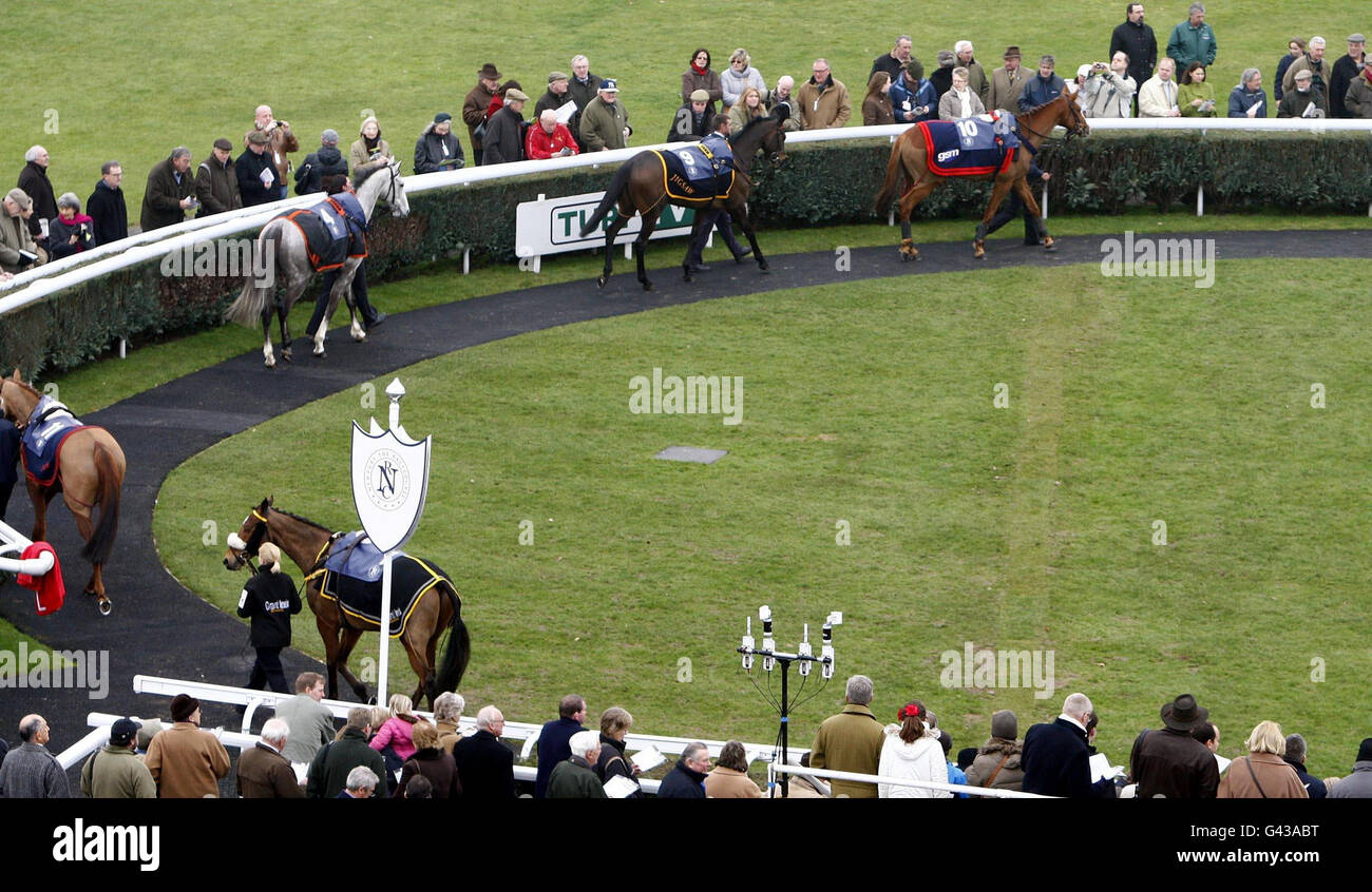 A general view of the Parade Ring during the totesport Trophy Day at ...