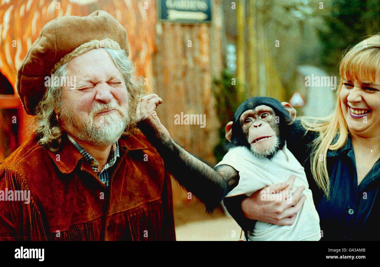 Chimp "Teddy" takes a liking to Lord Bath's beard during Longleat ...