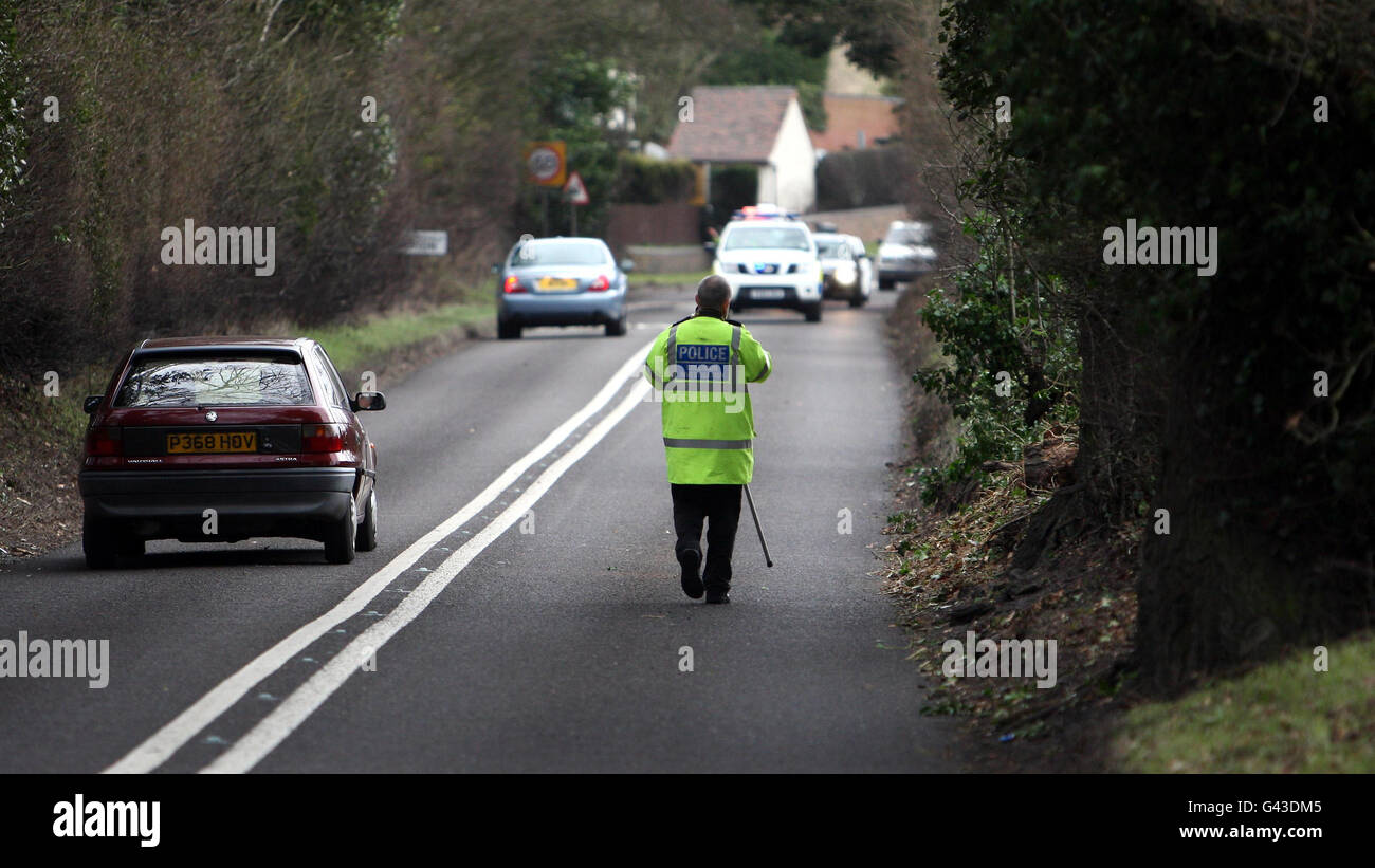Driver killed as tree hits car Stock Photo - Alamy