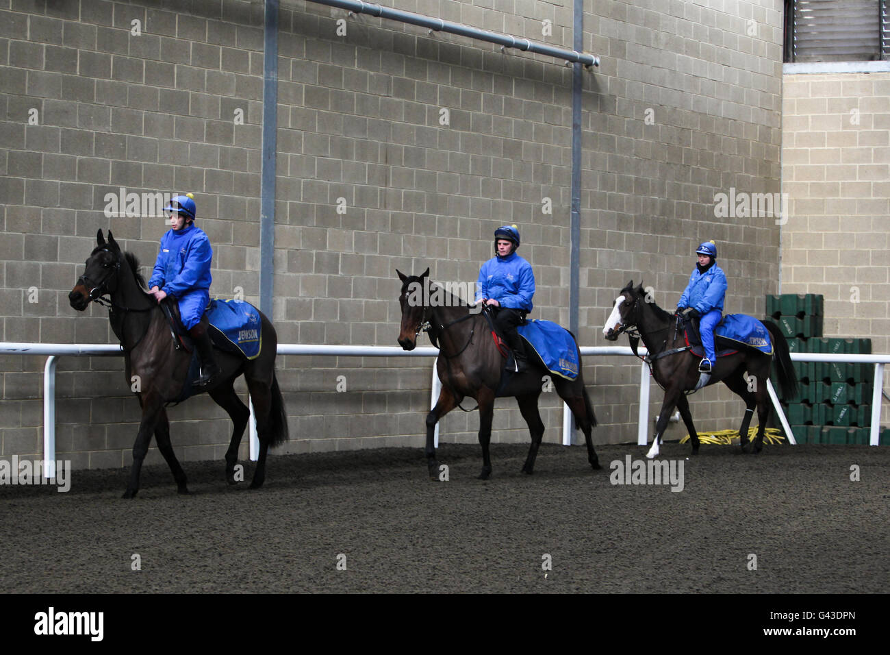 Horse racing jonjo oneill stables visit jackdaws castle hi-res stock ...