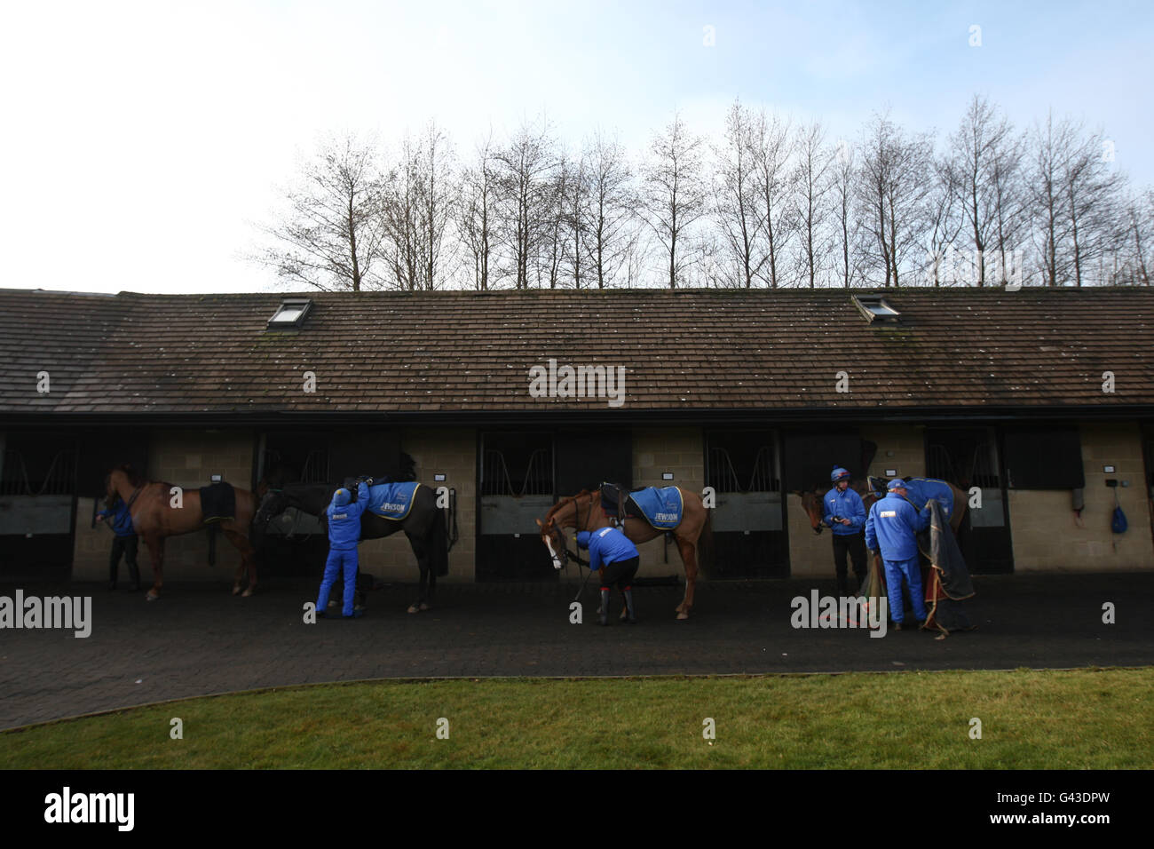Horse Racing - Jonjo O'Neill Stables Visit - Jackdaws Castle Stock ...