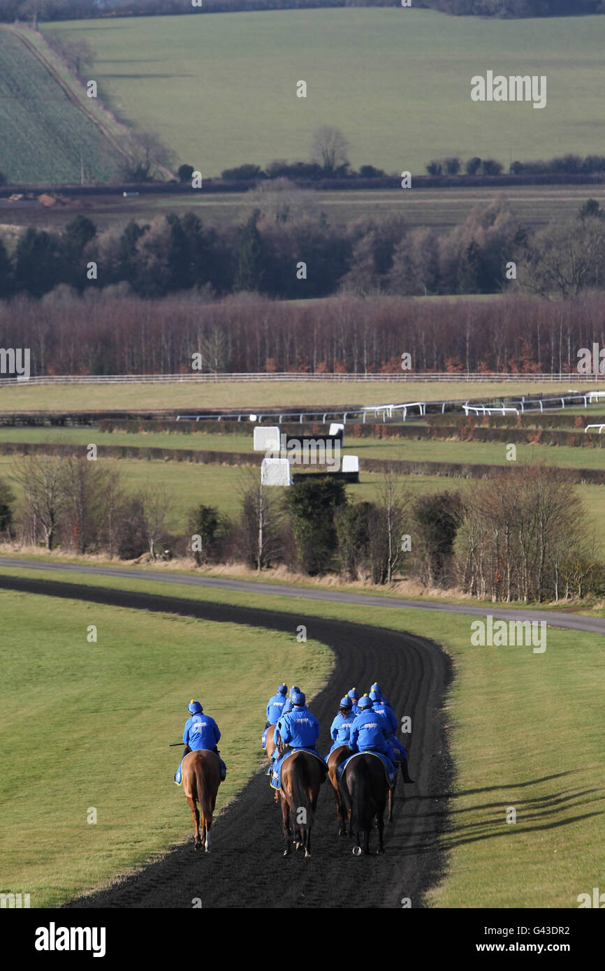 Horse Racing - Jonjo O'Neill Stables Visit - Jackdaws Castle Stock ...