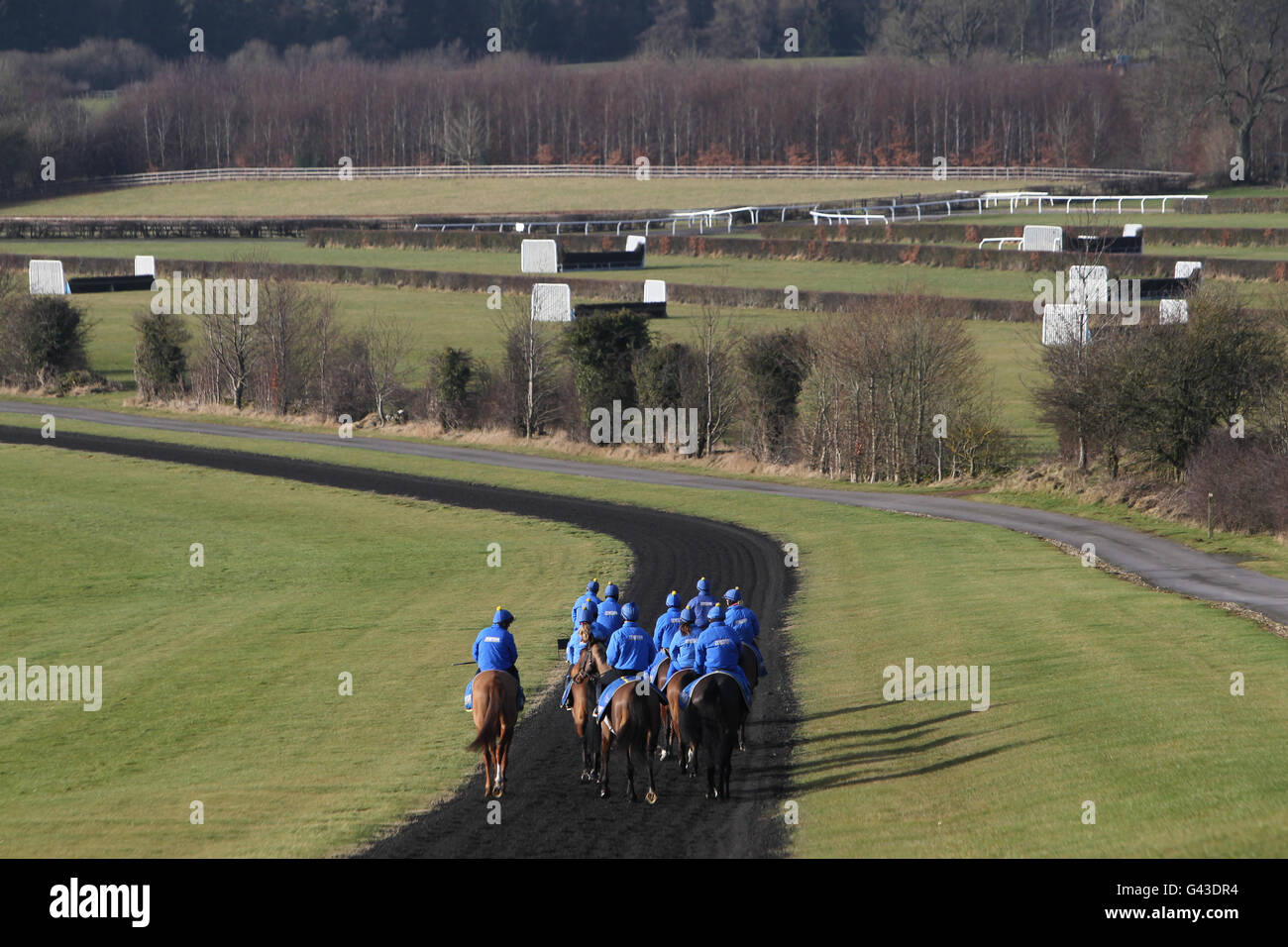 Jackdaws castle in cheltenham hi-res stock photography and images - Alamy