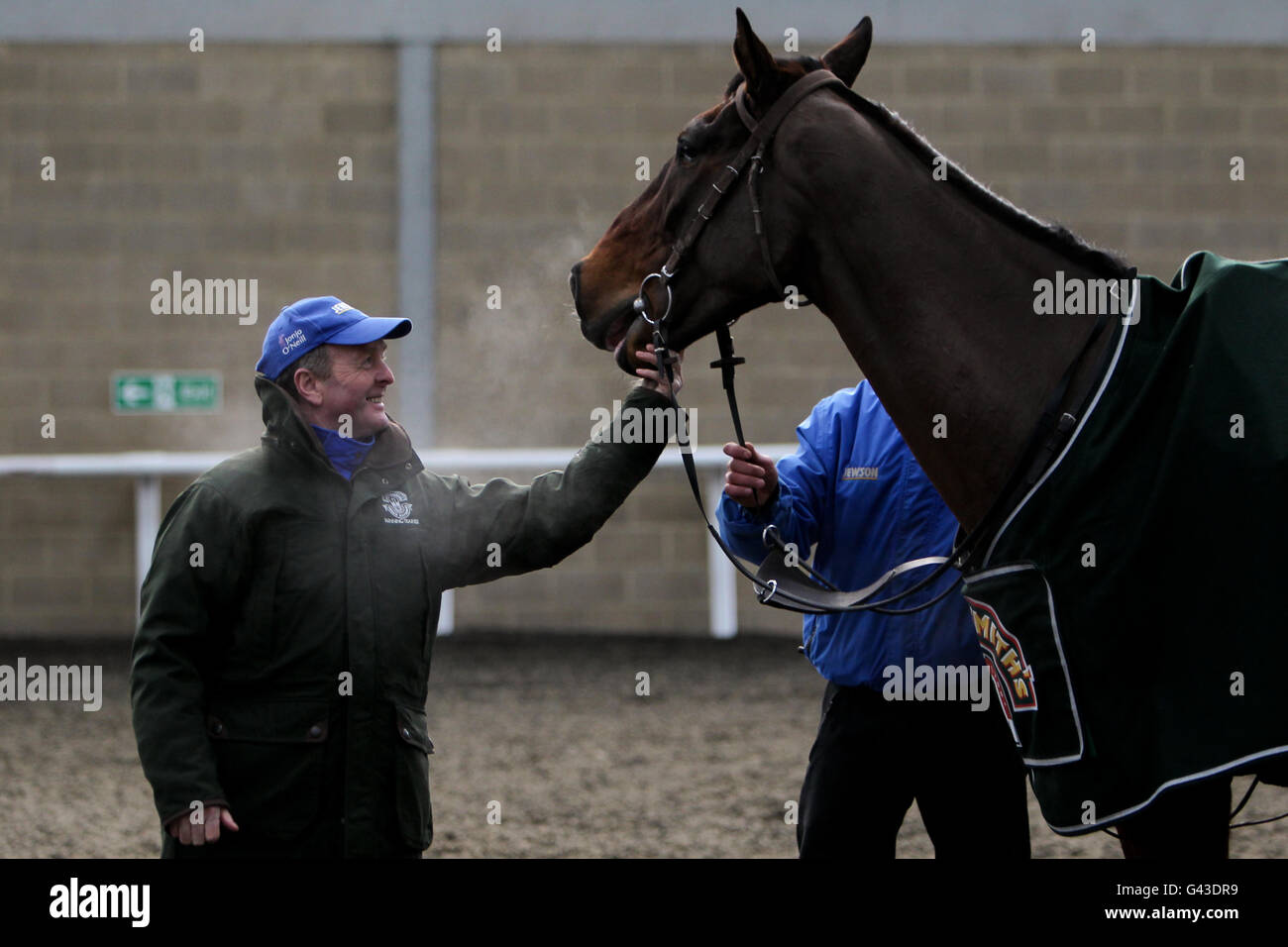 Trainer jonjo oneill with his at his stables jackdaws castle hi-res ...