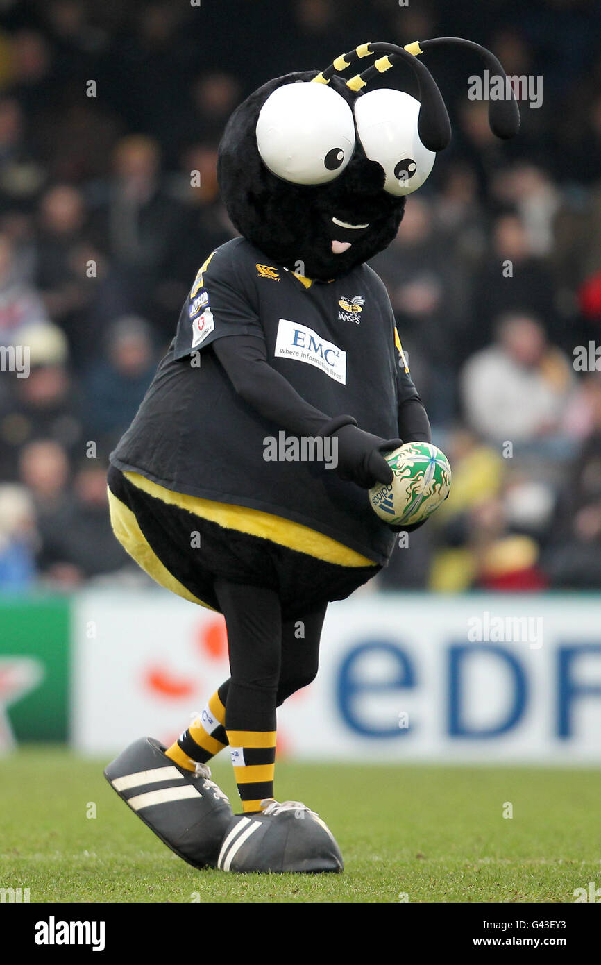 Wasps rugby mascot hi-res stock photography and images - Alamy
