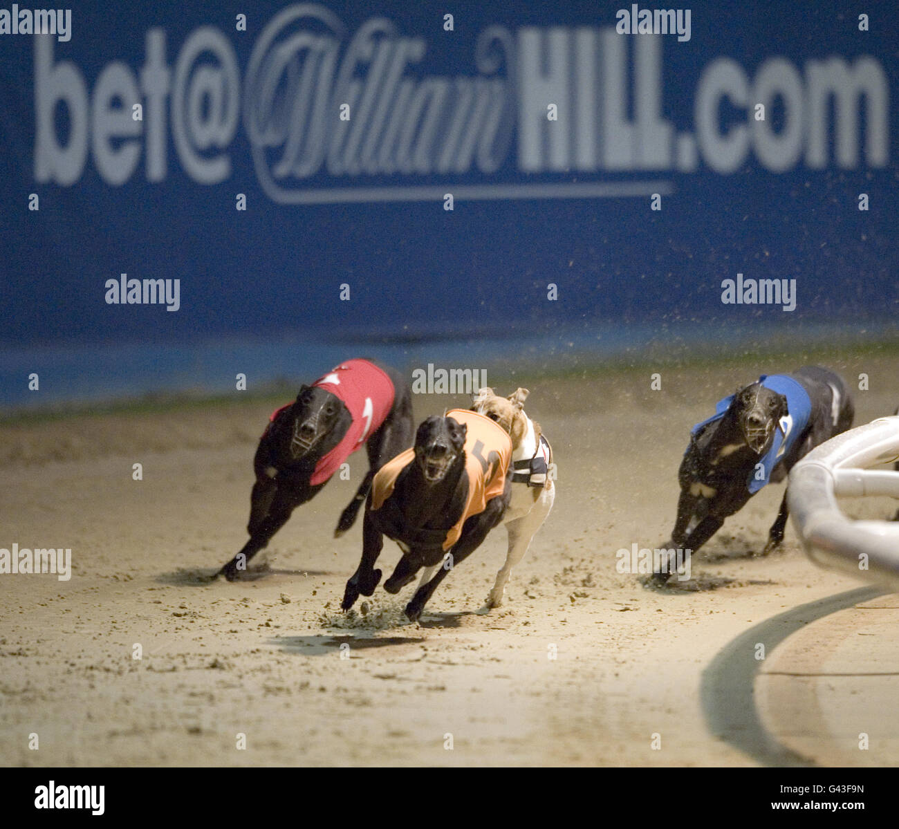 Greyhounds - Wimbledon Greyhound Stadium. Greyhound racing at Wimbledon ...