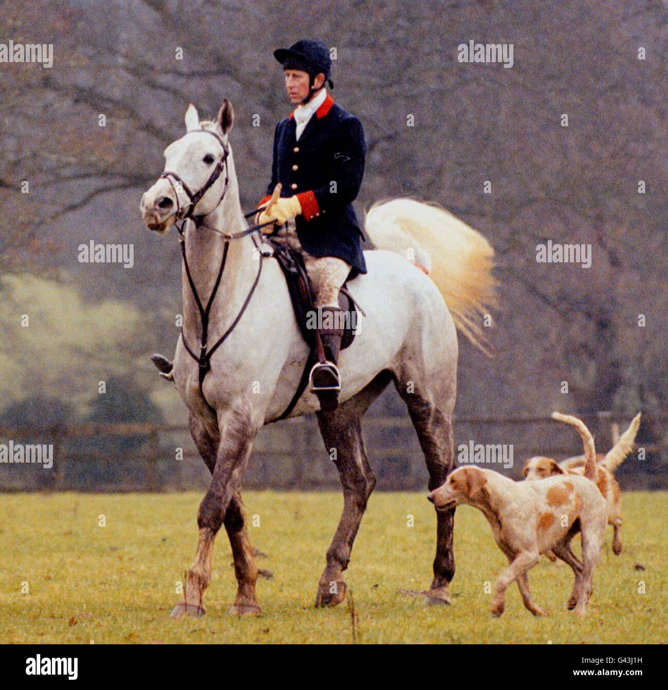 ROYAL Charles Hunt2 Stock Photo - Alamy