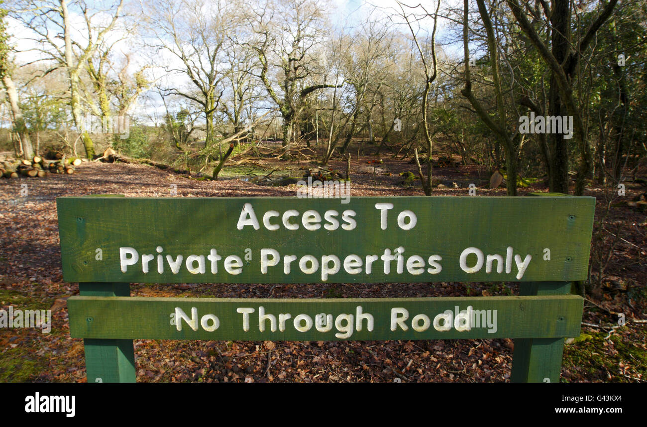 New Forest National Park Stock Photo - Alamy