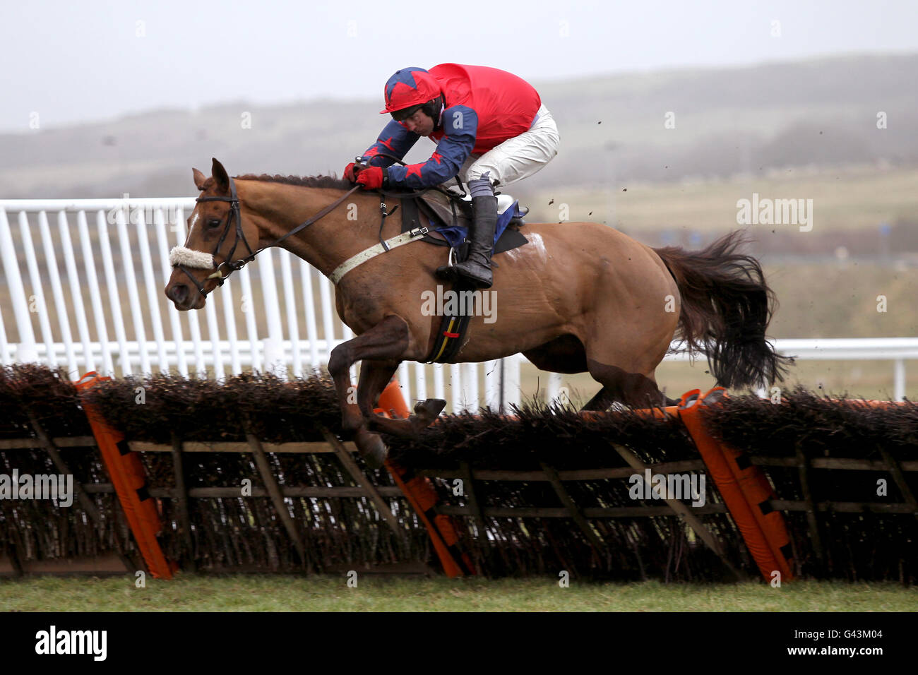 Welsh champion hurdle hi-res stock photography and images - Alamy