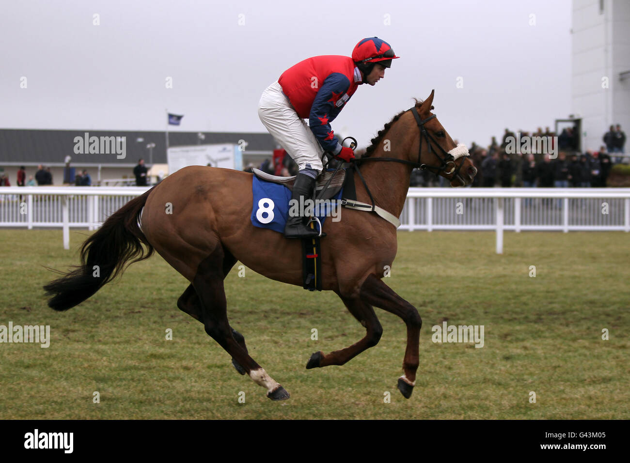 Horse Racing - William Hill Welsh Champion Hurdle Day - Ffos Las ...
