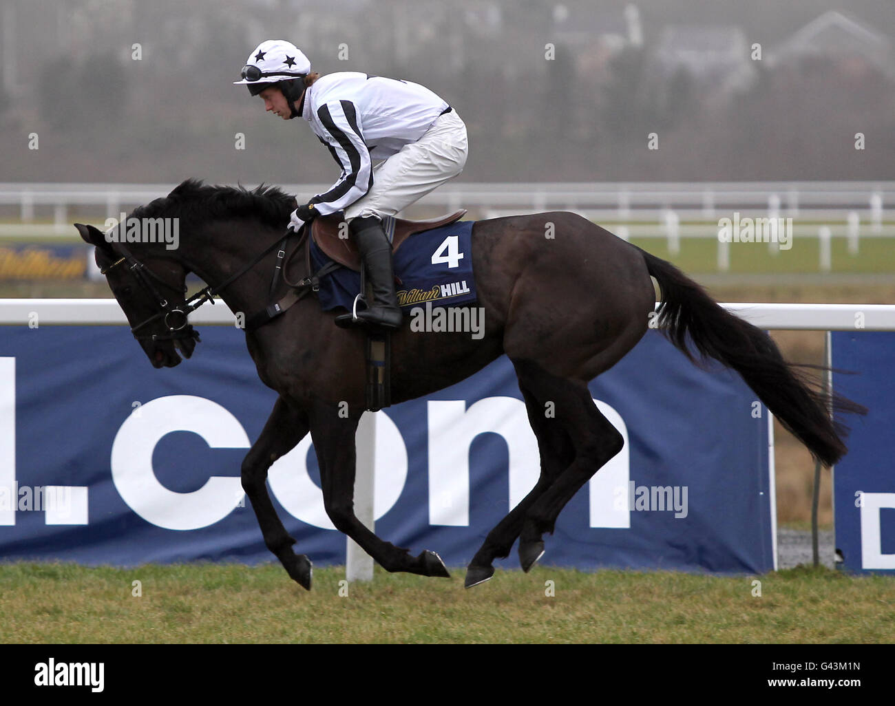 Welsh champion hurdle hi-res stock photography and images - Alamy