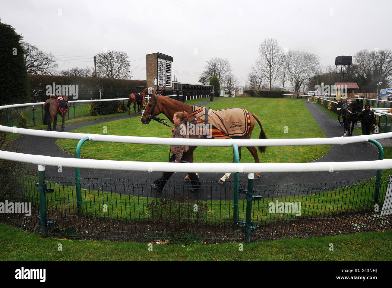 The parade ring at huntingdon racecourse hi-res stock photography and ...