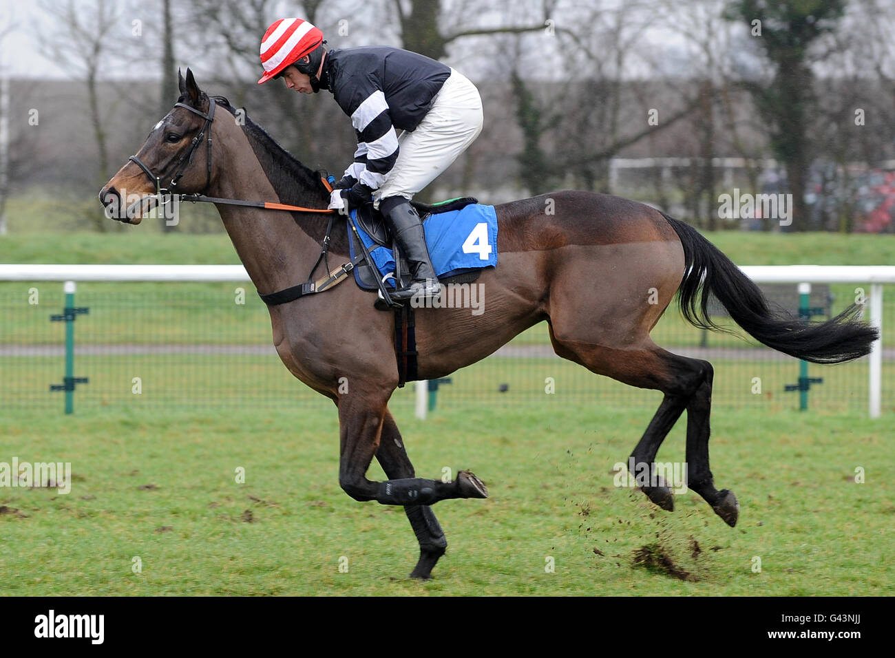 Horse Racing - Huntingdon Racecourse Stock Photo - Alamy
