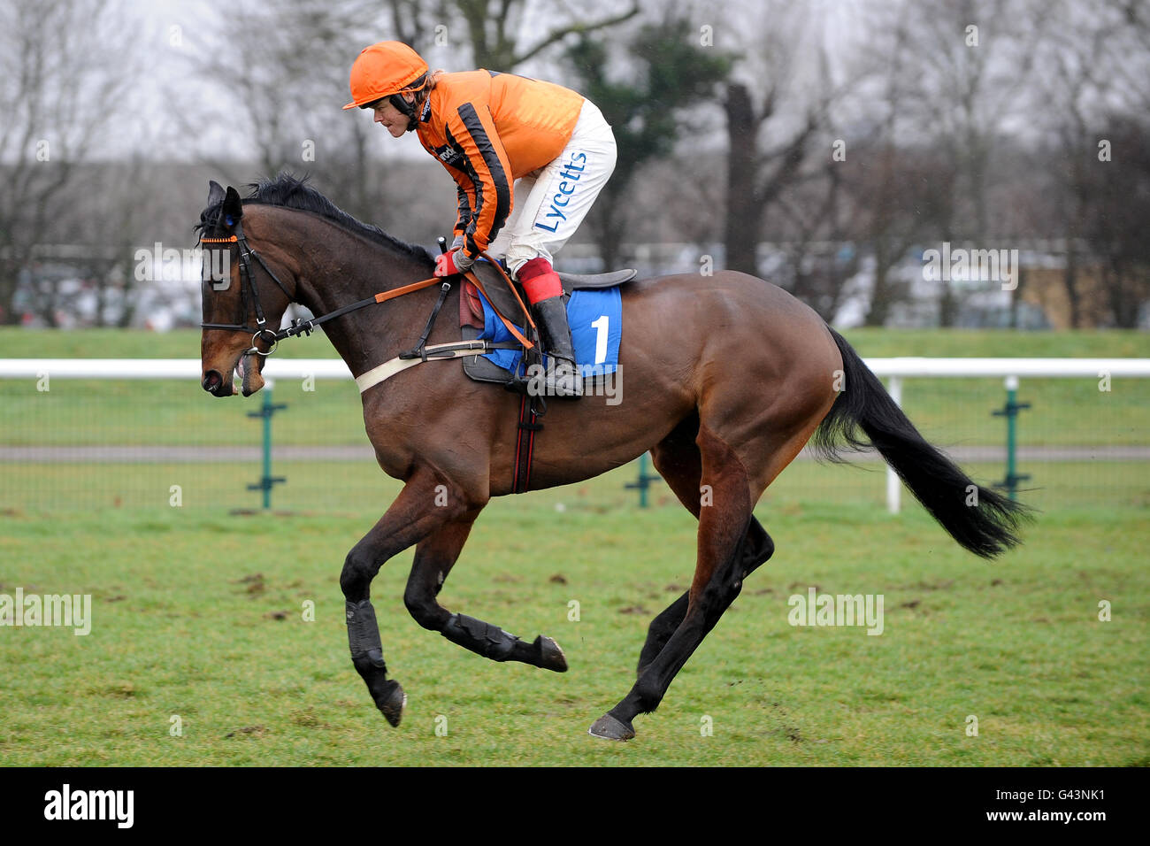 Horse Racing - Huntingdon Racecourse Stock Photo - Alamy