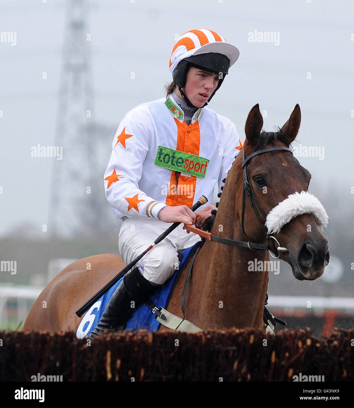 Jockey Hadden Frost on Dunkelly Castle checks out a fence before the ...